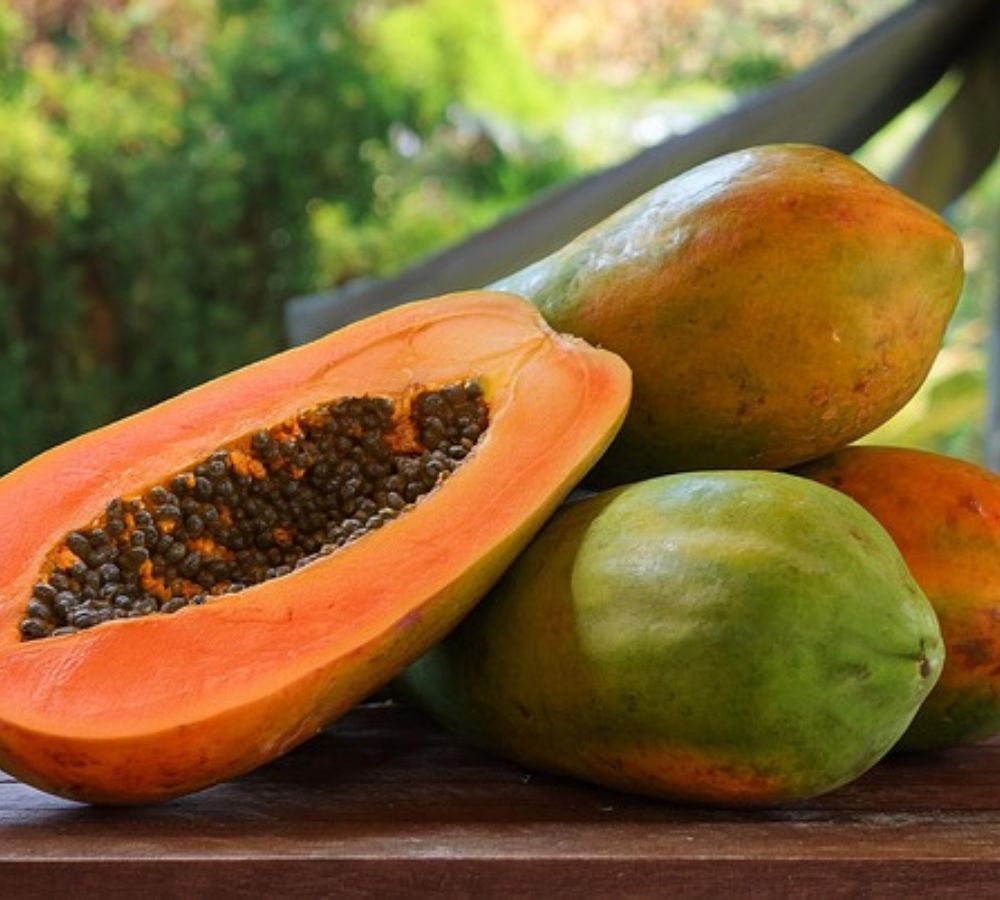 NS Global Trade Exports | Fresh Fruits & Vegetables Supplier